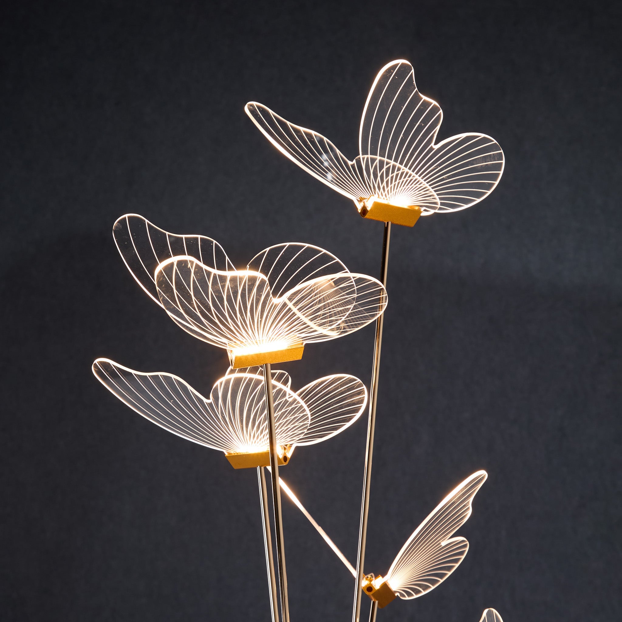 Neon Light – Ali Flowers